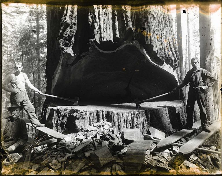 A brief history of the Simpson Logging Company railroad - Pedal The Rails!